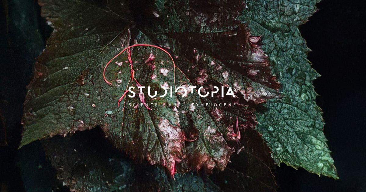 STUDIOTOPIA Pop-Up Lab: un laboratorio internazionale - IDI